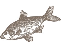 Vissen – Wapen van Stolwijk